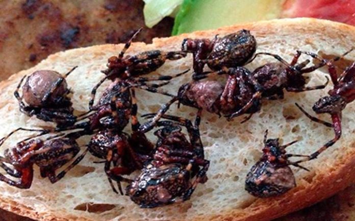 MERCADO DE INSECTOS COMO ALIMENTO VALE MÁS DE MIL MILLONES DE DOLARES ...