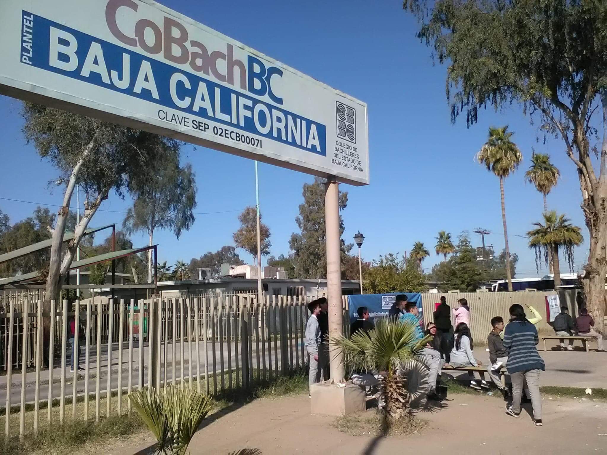 PAGARÁN A MAESTROS DEL COBACH ESTE VIERNES – BC Reporteros