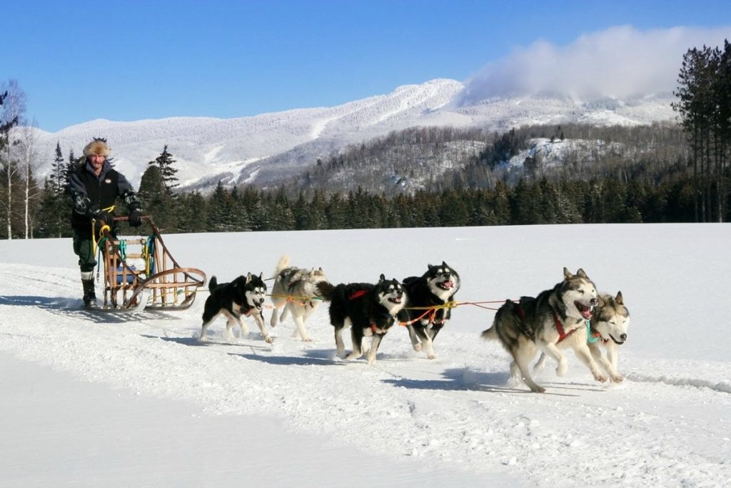 TRINEOS DE PERROS, UNA FORMA DISTINTA DE TURISTEAR EN CANADÁ | BC ...
