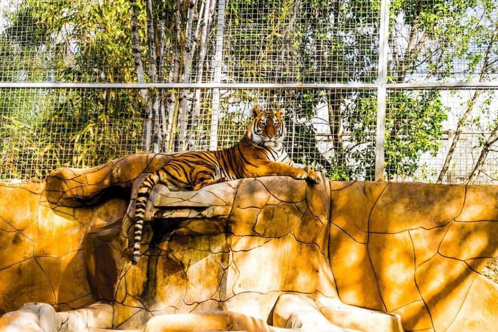 ¿QUÉ PUEDE VER Y DISFRUTAR EN EL PARQUE MORELOS DE TIJUANA? – BC Reporteros