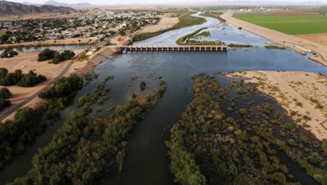 RESTAURAN FLORA Y FAUNA DE «DELTA DEL RÍO COLORADO».Con 43 millones de ...