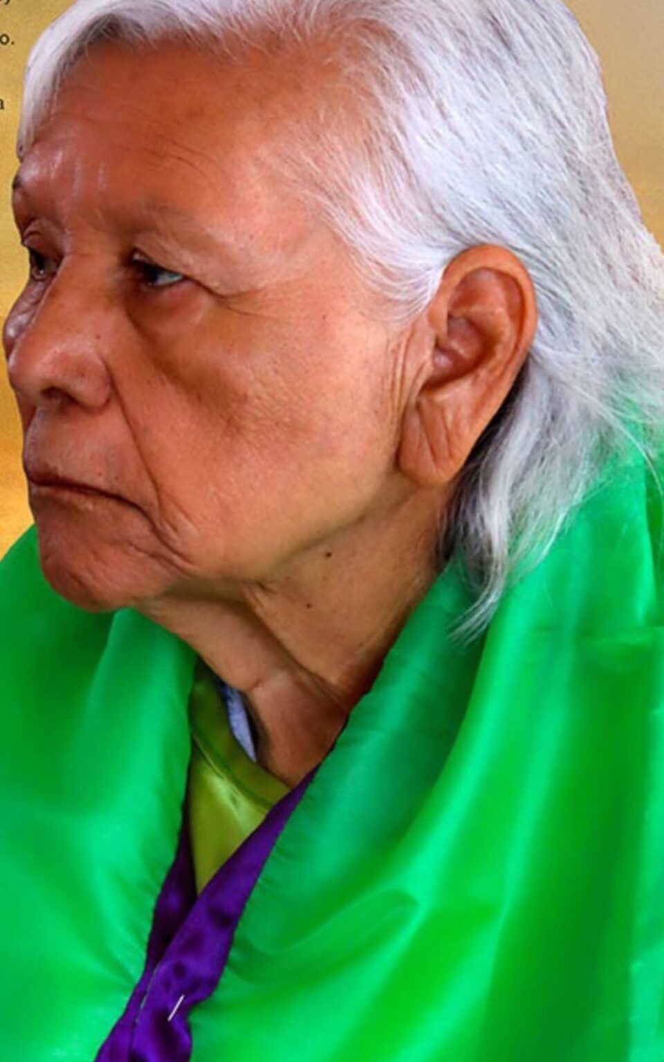 Muere Raquel Portillo, mujer representante de la etnia Cucapá en Baja ...