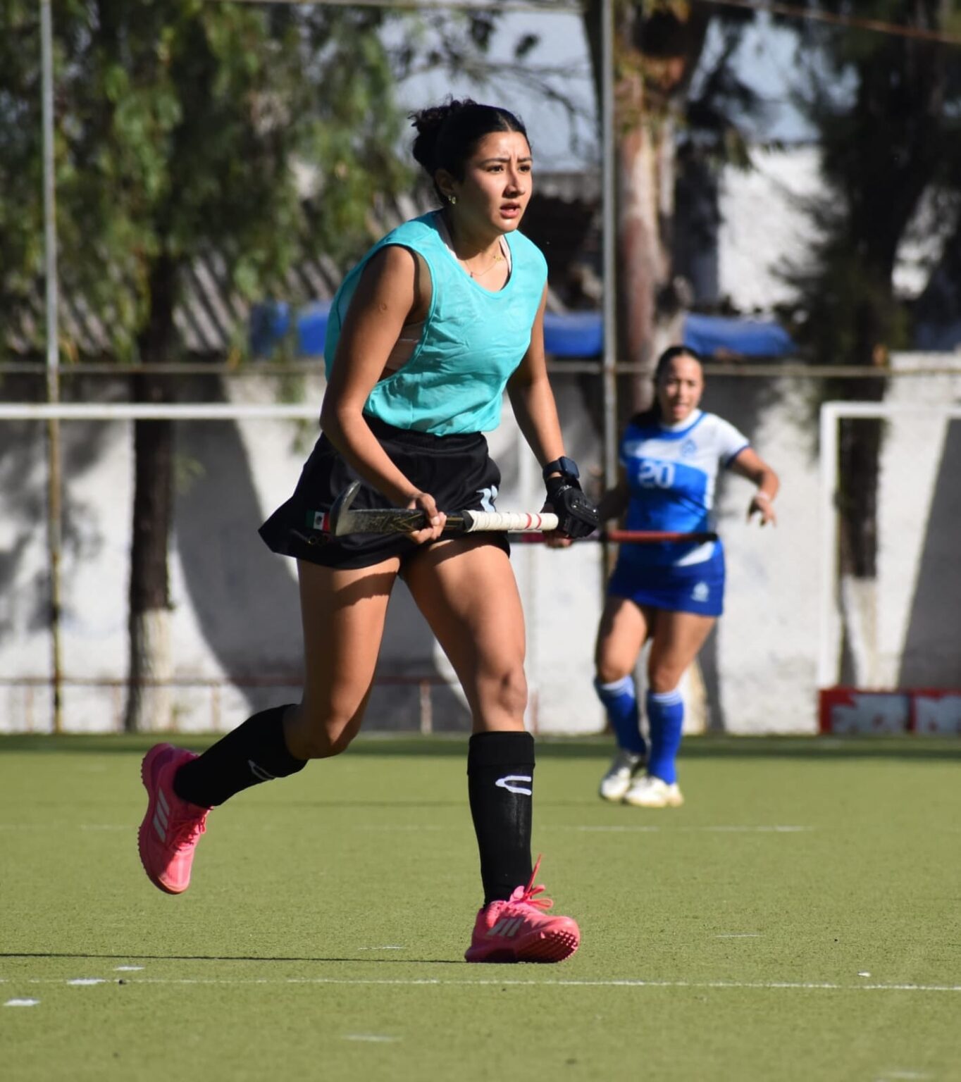 Acuden talentos de Baja California a hockey Selectivo Nacional.Van con ...